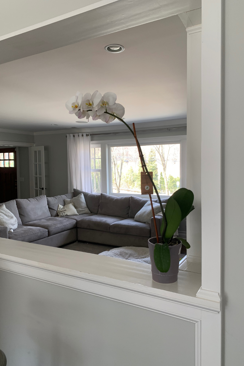 The Ultimate Whole-House Simple Weekly Cleaning Schedule - Sara Lee ...